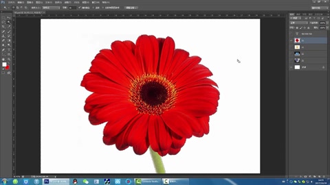 PS学习ps自学ps培训 PS钢笔抠图