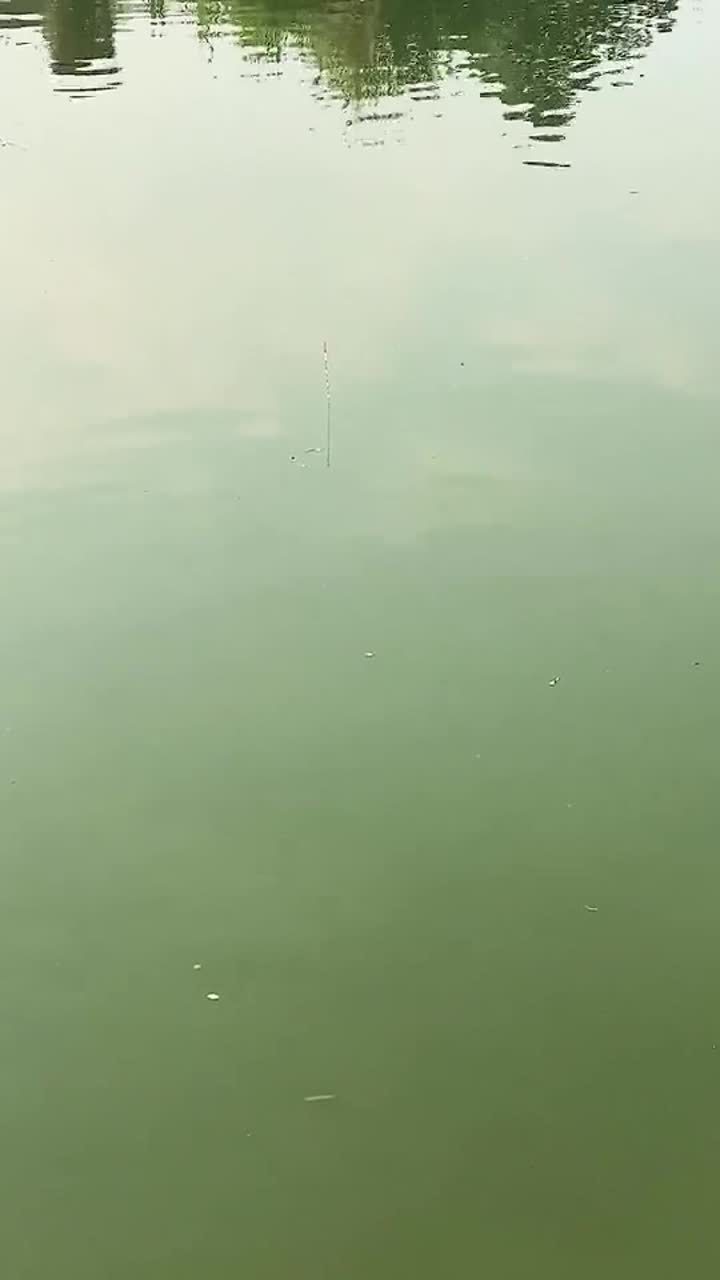 鱼来咬钩时可以自动敏捷弹开的钓鱼器#自动钓鱼钩