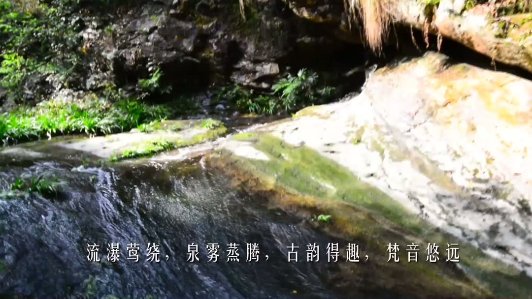 瀑布林生态旅游景区宣传片