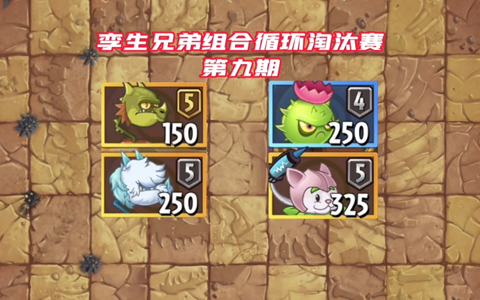 孪生兄弟组合循环淘汰赛第九期,猫尾草和导向蓟挑战龙草兄弟