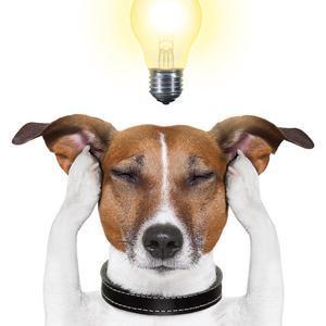 代账行业的中央大厨房 