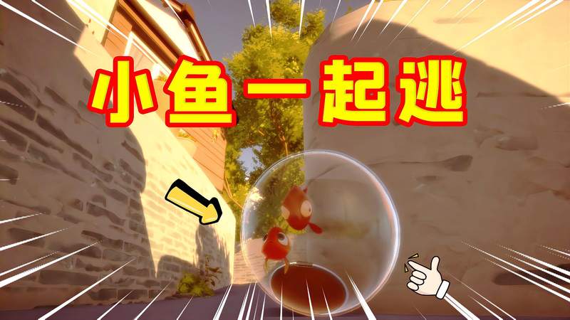 小鱼模拟器:我带着小伙伴一起逃离房间,带它去见识外面的世界!