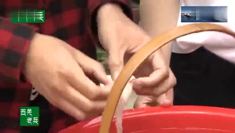 蚕茧如何变成蚕丝被的呢,农村大妈现场演示手工制作蚕丝被!
