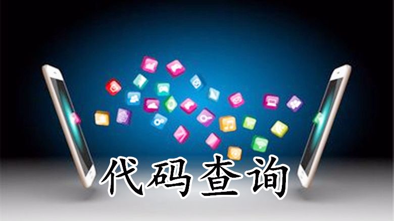 输入代码,查询对方使用软件情况