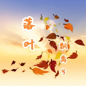 落叶飘离兮 