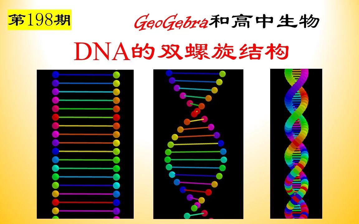 【198】GeoGebra和生物-三维可调的DNA双螺旋结构
