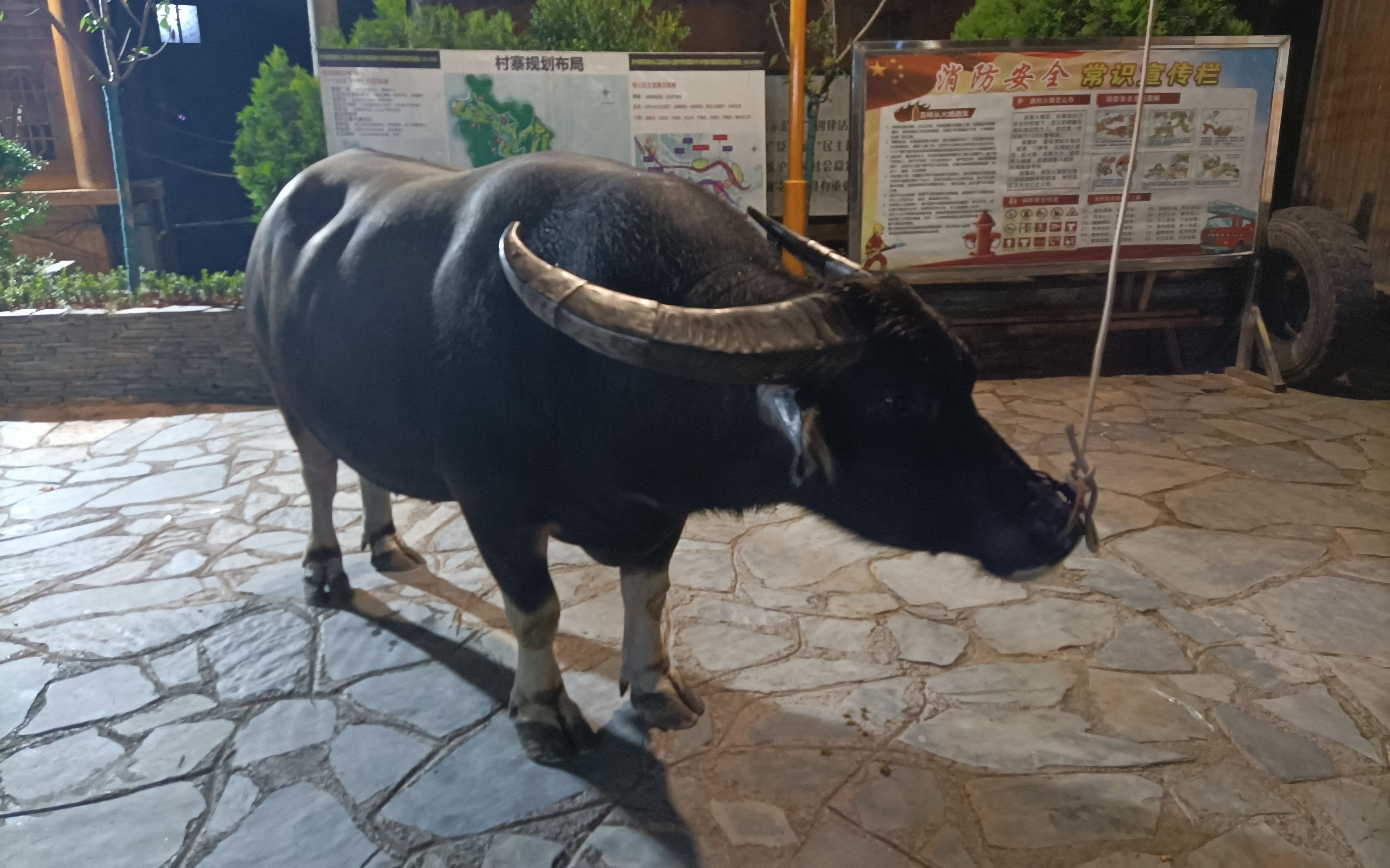 摩旅:从广佛极点到川藏秘镜(5-1)进入贵州境:阳朔—从江(占里侗寨)