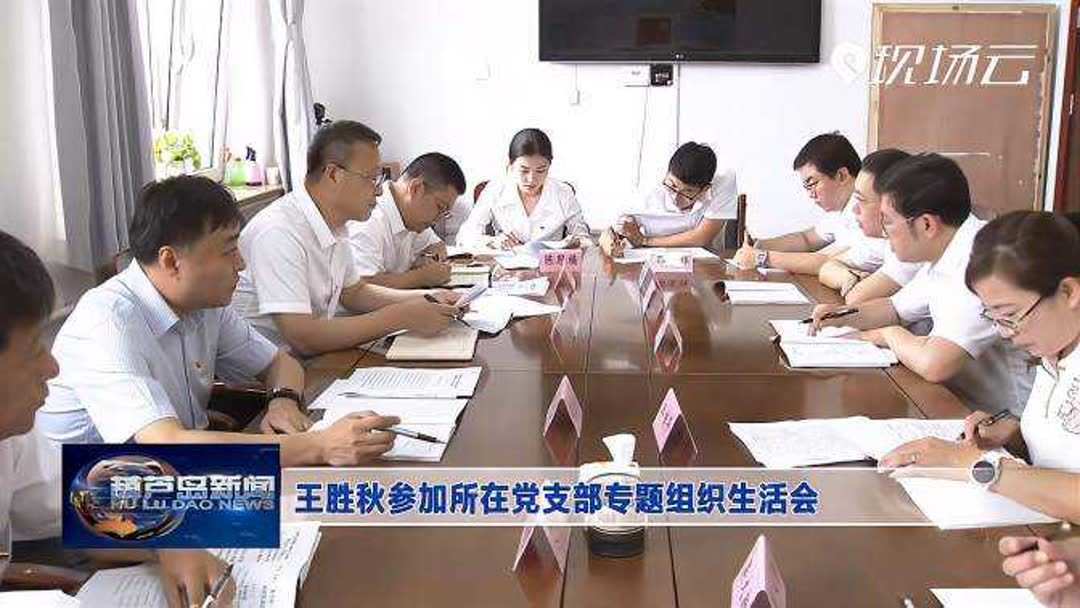 王胜秋参加所在党支部专题组织生活会
