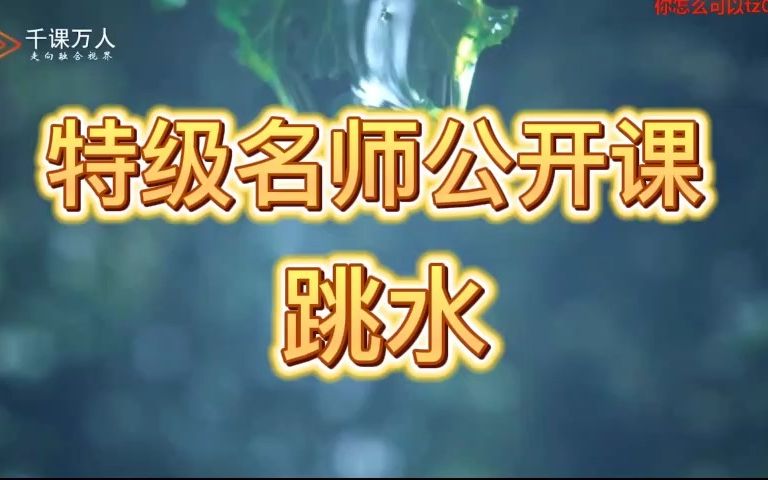 《跳水》公开课优质课 新课标 小学语文五下