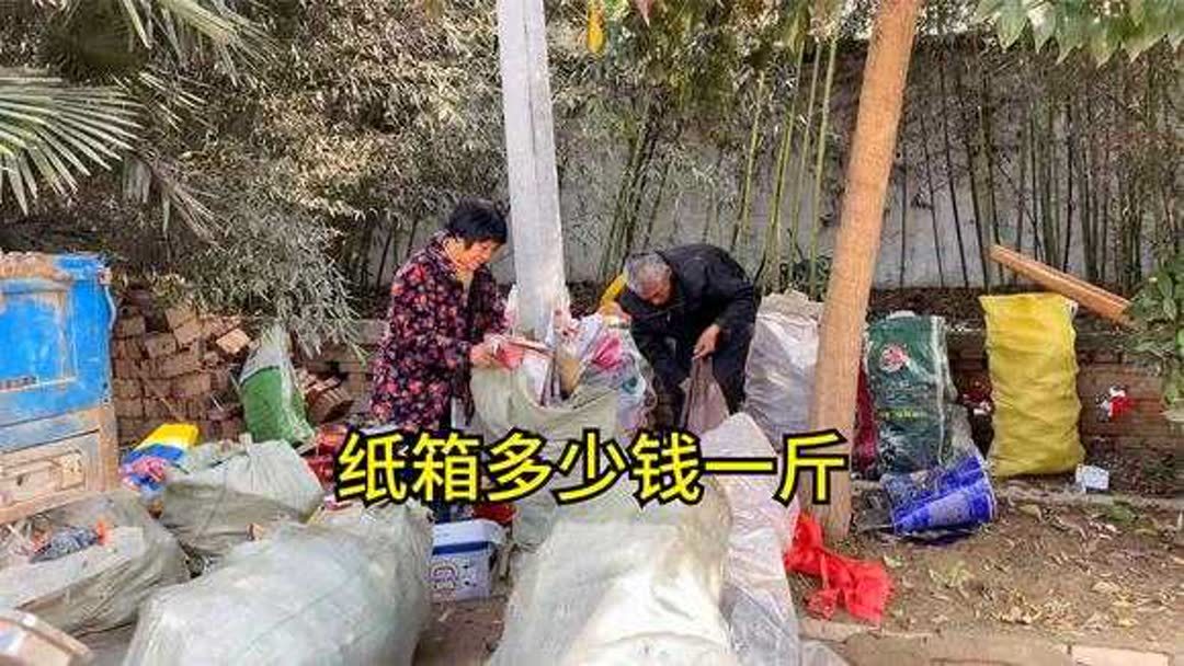 废纸箱多少钱一斤?老板来告诉你最新价格,比你们那里贵吗?