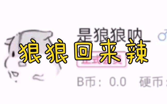 狼狼回归b站了!再见了造梦西游OL!【狼狼出品】