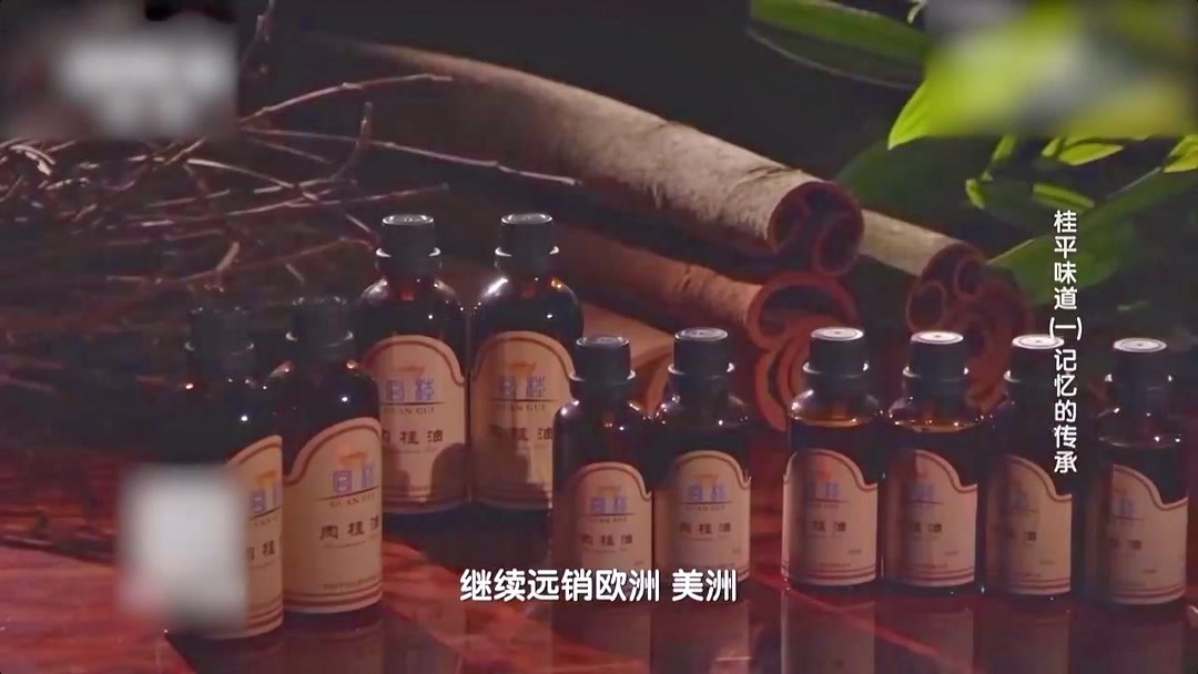 桂树全身都是宝贝,桂皮可用于烹饪美食,桂油更是重要香料成分!