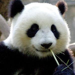 小羽影视v 