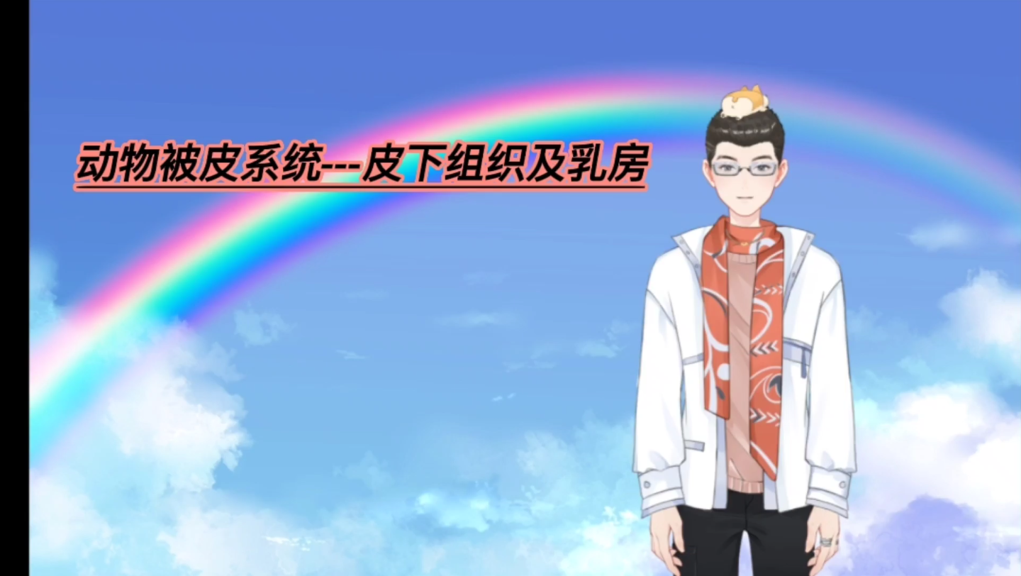 每天学习一分钟---动物被皮系统---皮下组织和乳房