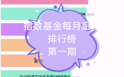 指数基金每月定投总额排行榜第一期