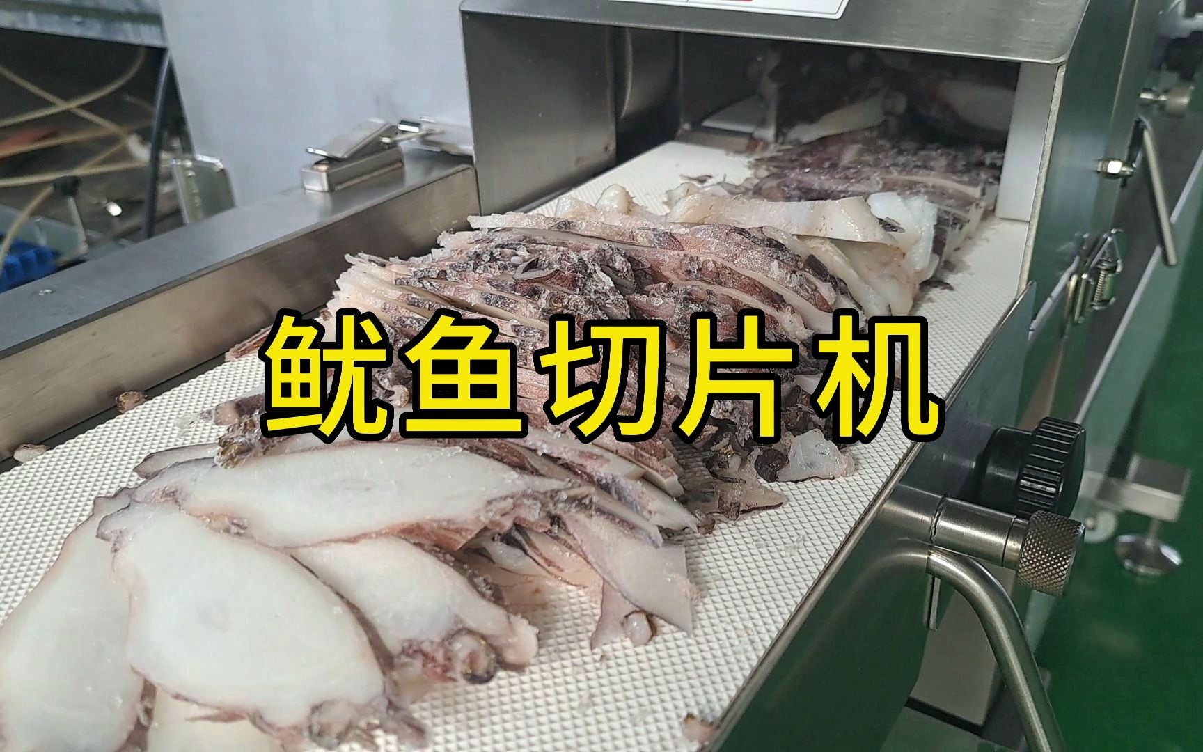冰冻后的鱿鱼腿章鱼足被残忍地切成薄片,凶手竟然是祥九瑞盈RY-160E...