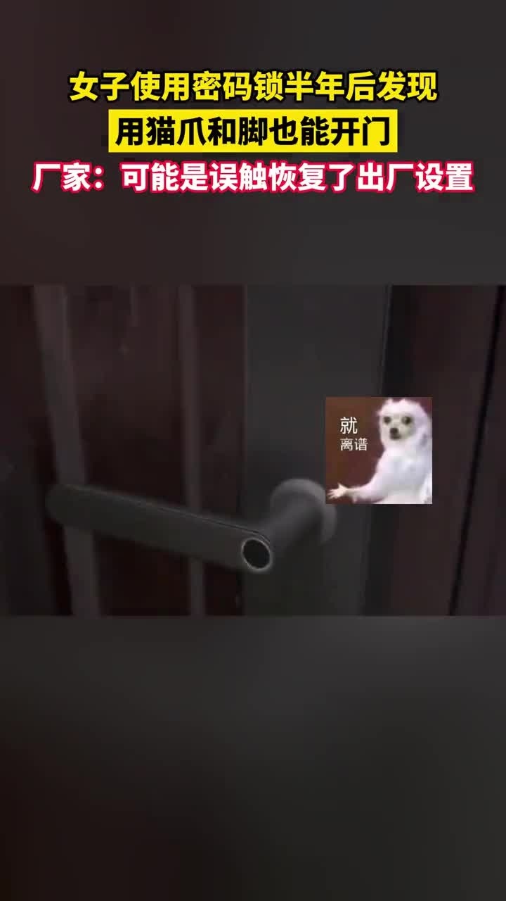 女子安装指纹锁半年后发现不仅能用脚和手肘解锁,连自家猫的爪子也...