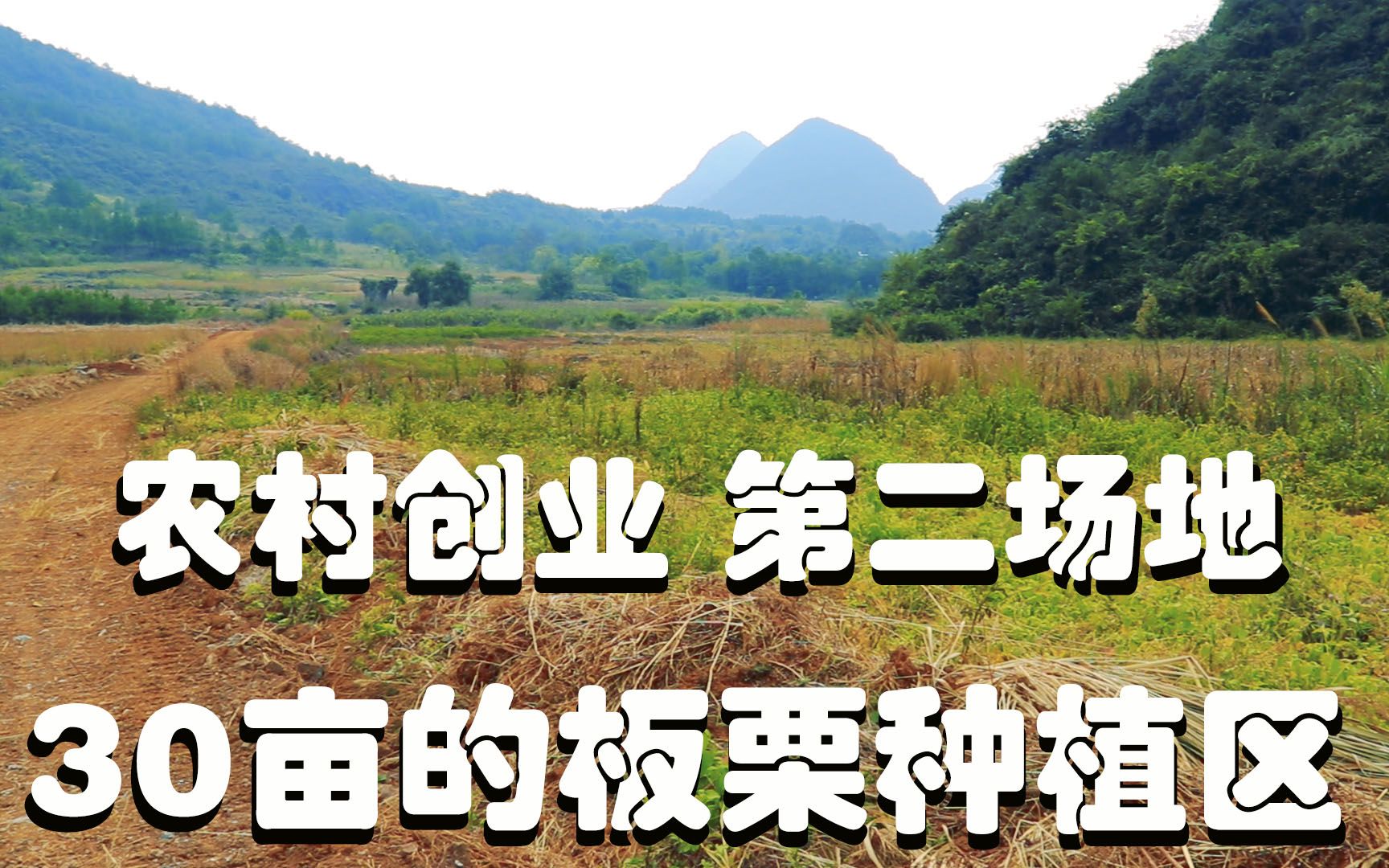 揭秘,80后回乡创业,第2个场地,30亩板栗种植区规划!