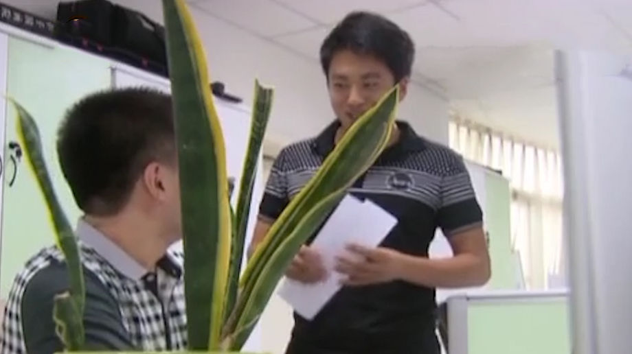 大学生毕业时需提交实习证明,许多学生滥竽充数!竟网购实习证明