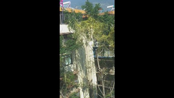 登高作业没有安全防护措施,看着都怕,生怕掉下来