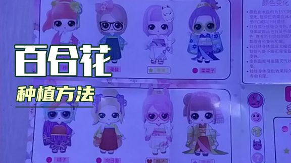 挑战拆盲盒四。