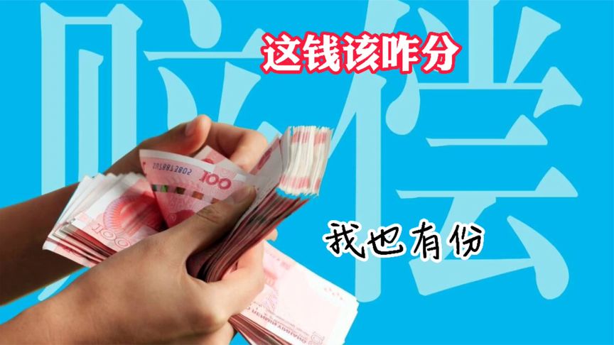 交通事故和工伤死亡赔偿金属于什么性质?家庭成员应该怎么分