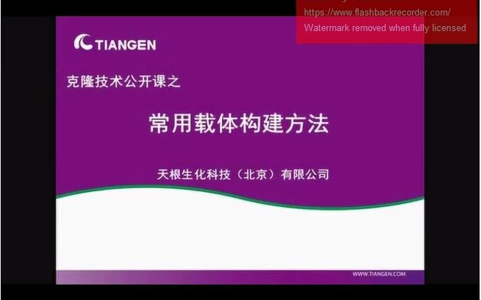 常用载体构建方法