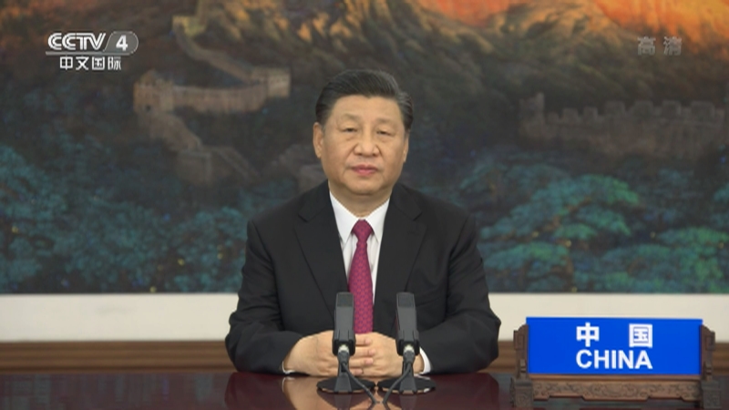 [中国新闻]习近平出席亚太经合组织领导人非正式会议并发表讲话