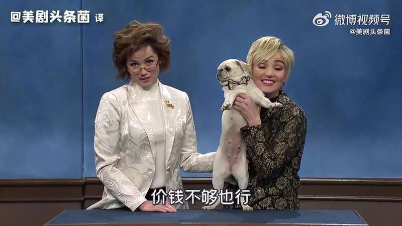 【狗狗表演学校翻车现场】 SNL又拍狗狗段子啦,狗狗表演学校开始...