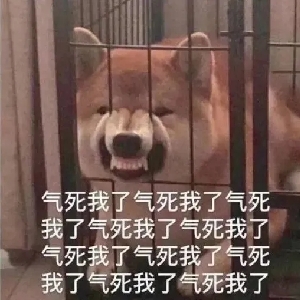 官方评价 
