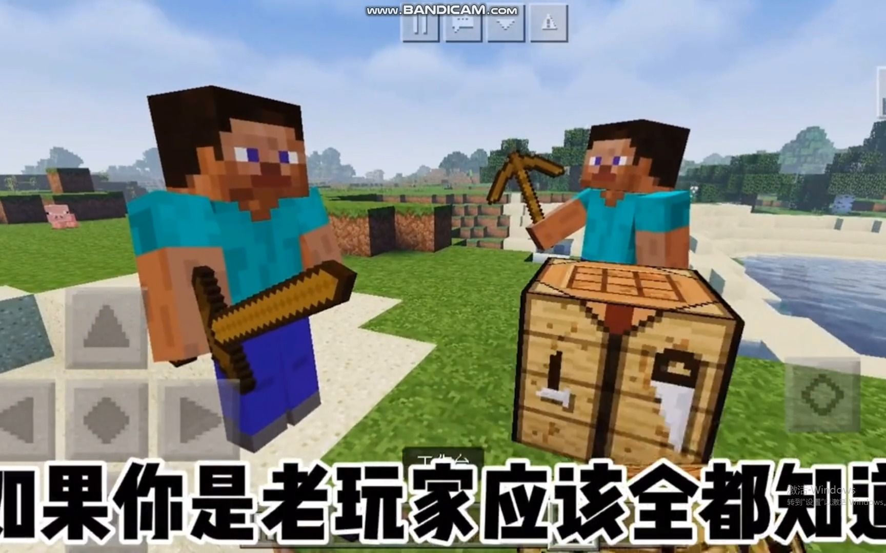 这些被版本遗失的种子 你们用过那个 【我的世界】