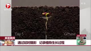 通过延时摄影 记录植物生长过程
