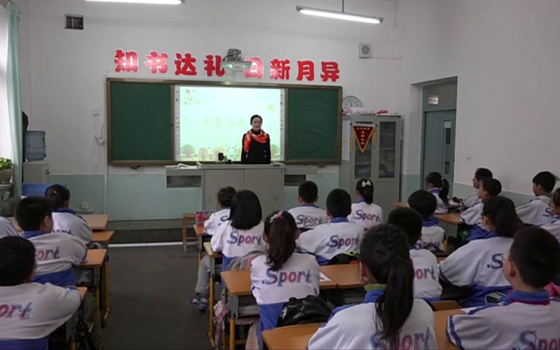 【获奖】北师大版小学六年级数学下册_欣赏与设计-史老师公开优质课...