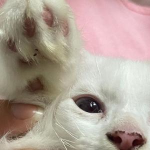手可见繁星 