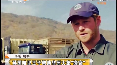 英国哈里王子帮助非洲大象“搬家”
