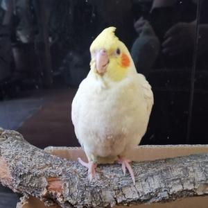 虔石榴抓饭（总店） 