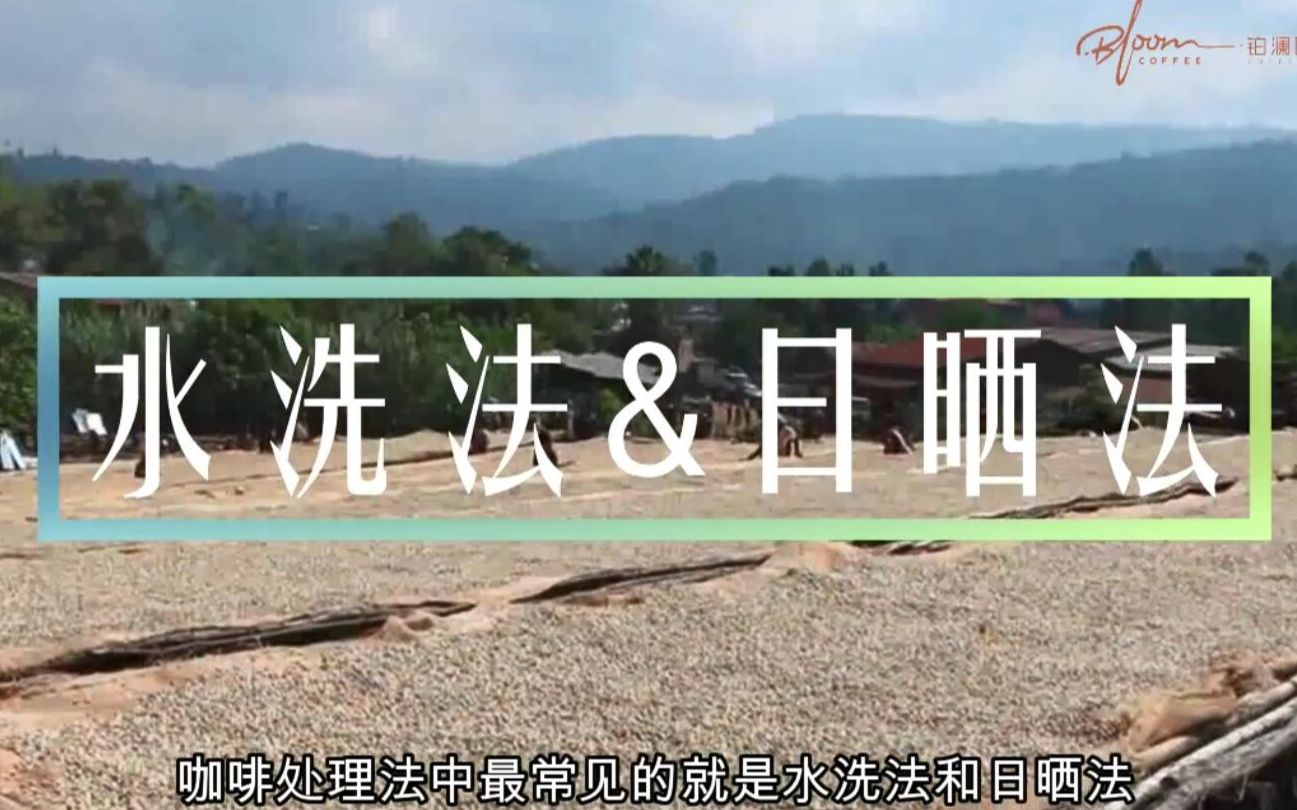 你平时喝的咖啡,知道是怎么处理的吗?