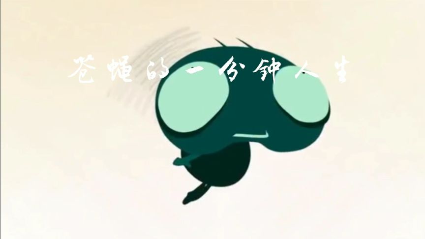 苍蝇的一分钟人生