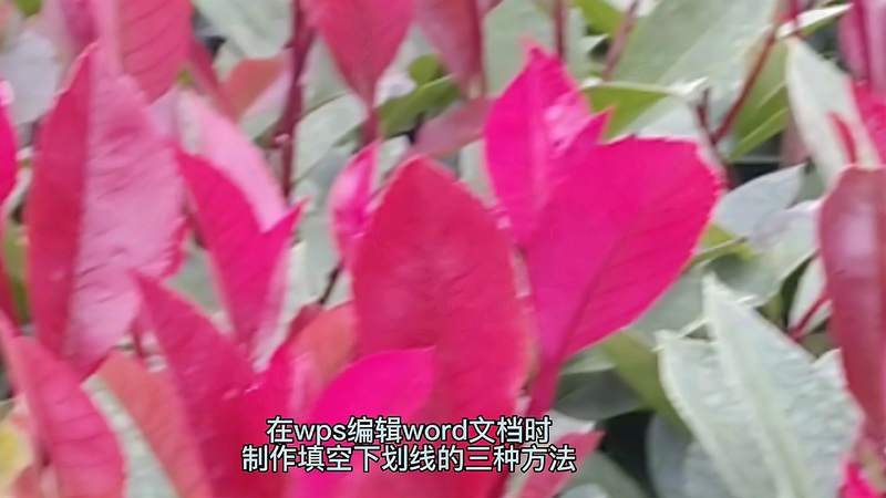 wps编辑word文档时空格下划线的三种制作方法