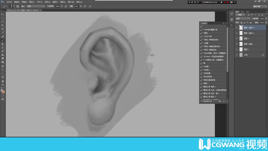 耳朵的画法丨CG原画教程丨手绘教程丨绘画教程丨CGWANG王氏教育