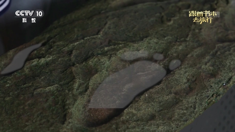 【跟着书本去旅行】这是一串“穿越”了400多万年的人类脚印?