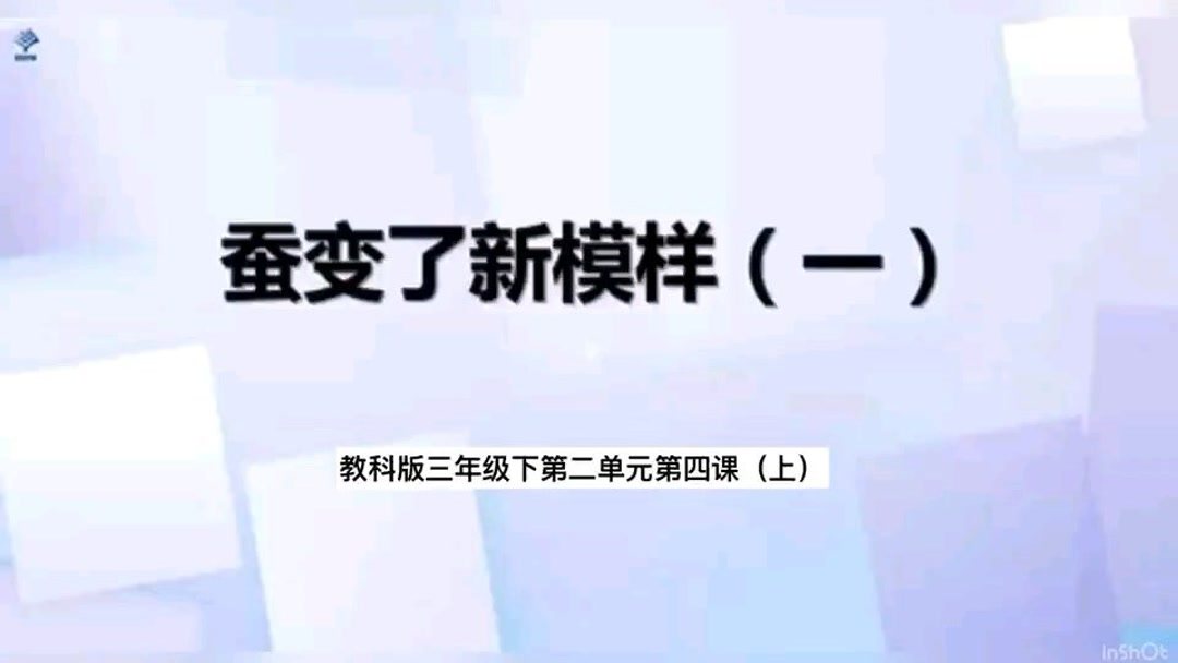 蚕变了新模样