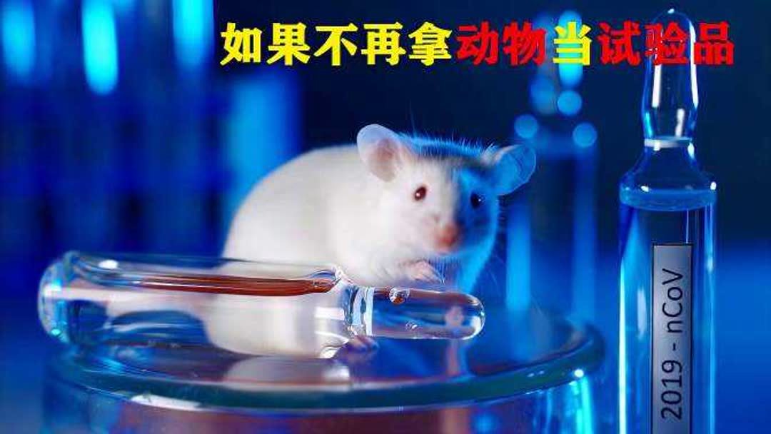 每年1亿多只动物被用于实验,如果停止动物实验,该如何测试产品