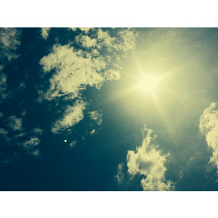 您拨打的电话已结婚 