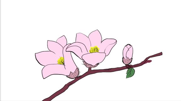 来学画美丽的花朵,简笔画绘画教程上色