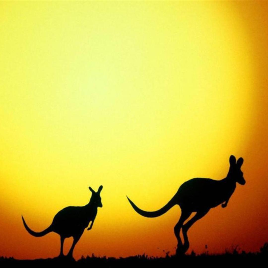 驿站之外的断桥边 