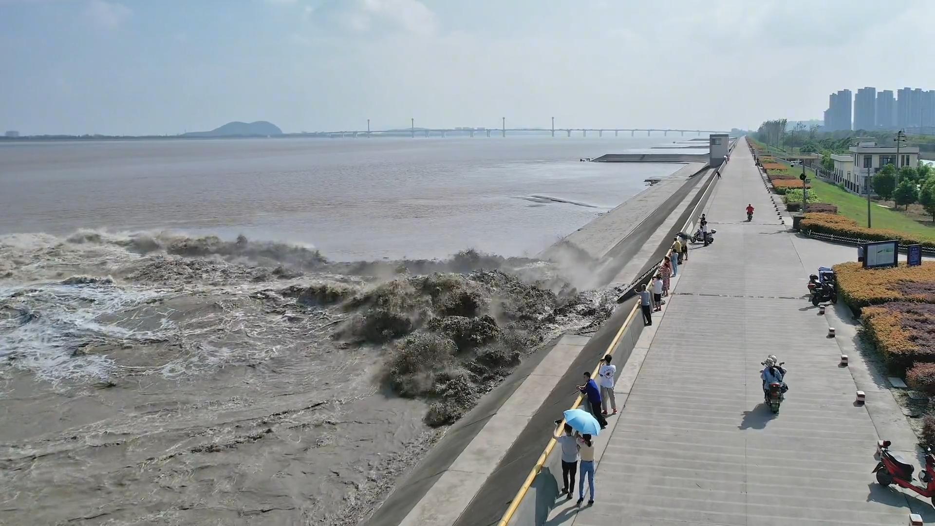 近距离感受一下钱塘江大潮的魅力,真是波澜壮阔美不胜收
