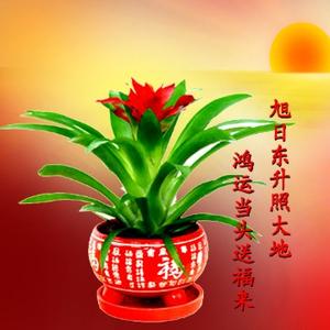 坚强画时代 