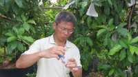 这样杀虫经济实惠!洗衣粉也可以当农药?原理和方法是这样的!真的涨...