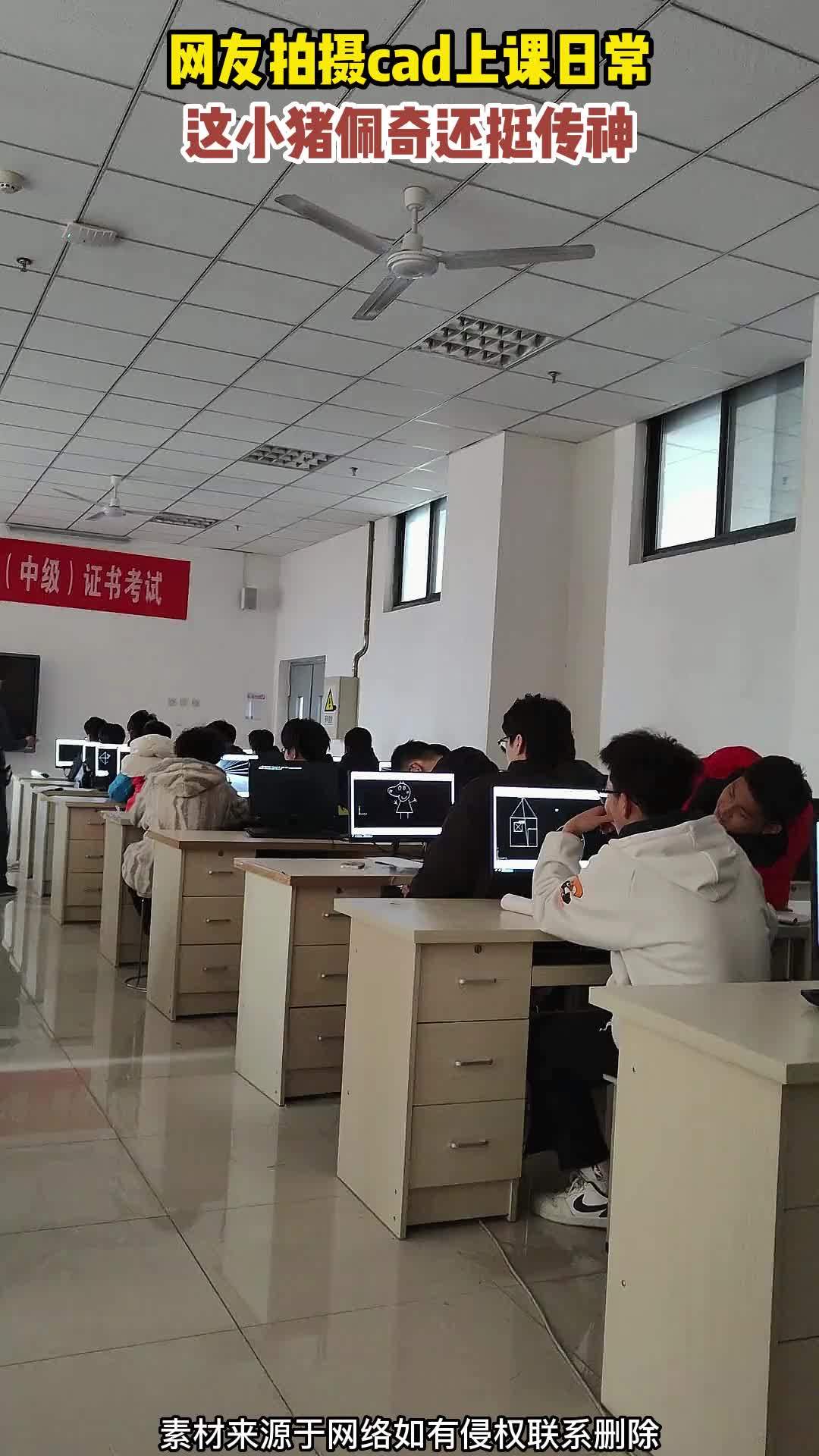 网友拍摄cad上课日常,这小猪佩奇还挺传神